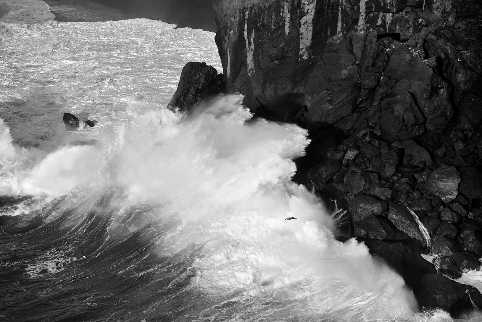 Puissance Blanche Yves Luyet Photographe Puissance Blanche Yves Luyet Photographe